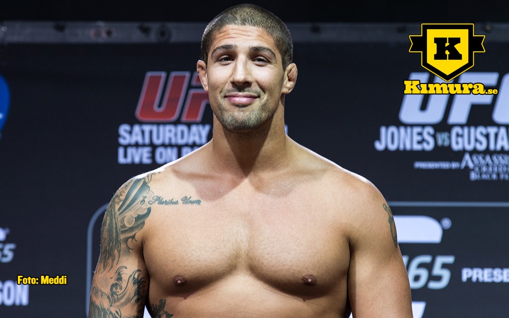 Brendan Schaub om MMA i New York: "De är inte tillräckligt utbildade ...