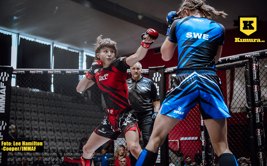 UFC - Allt du behöver veta om Ultimate Fighting Championship