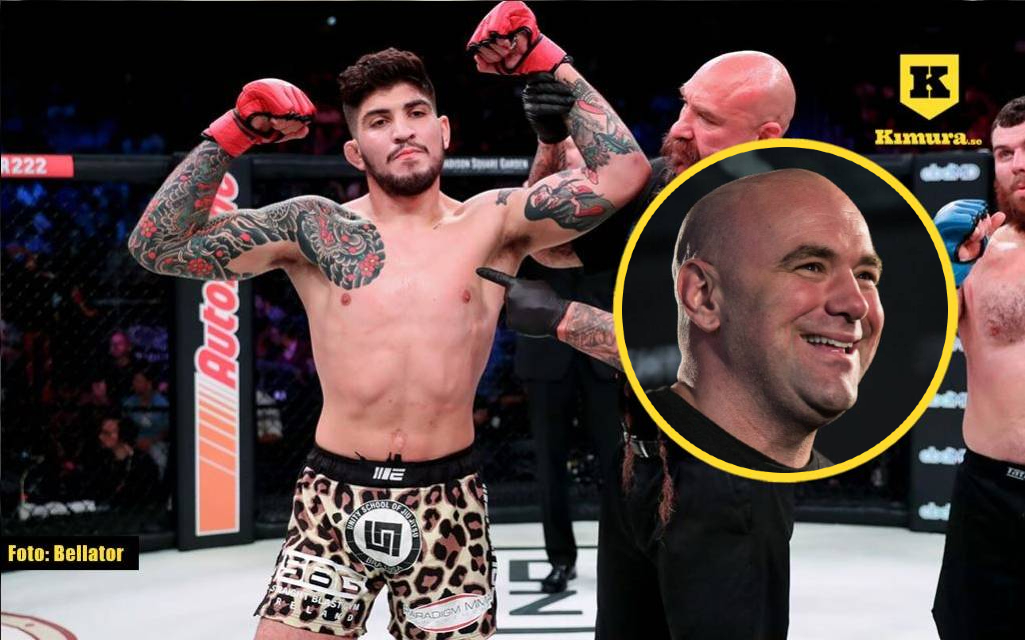 Dana White om Dillon Danis i UFC
