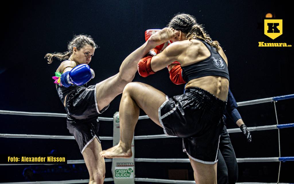 Allt inför Empire Fighting Series på Kimura Fightstream